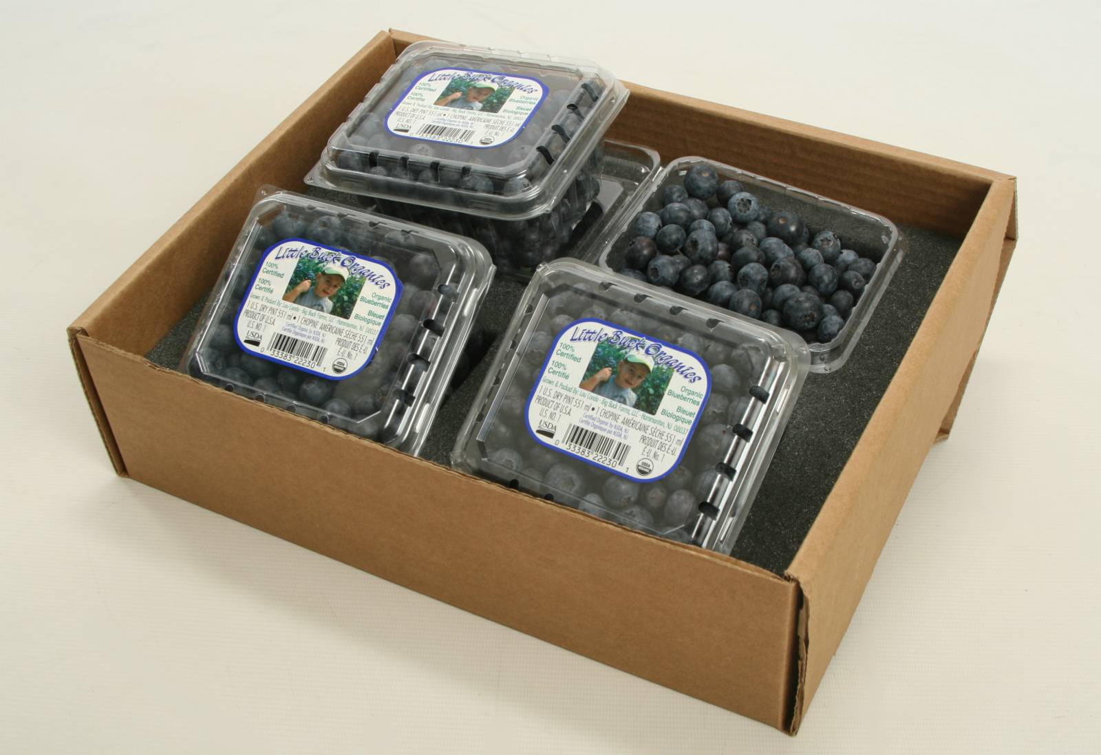 NJ Organic Blueberries
